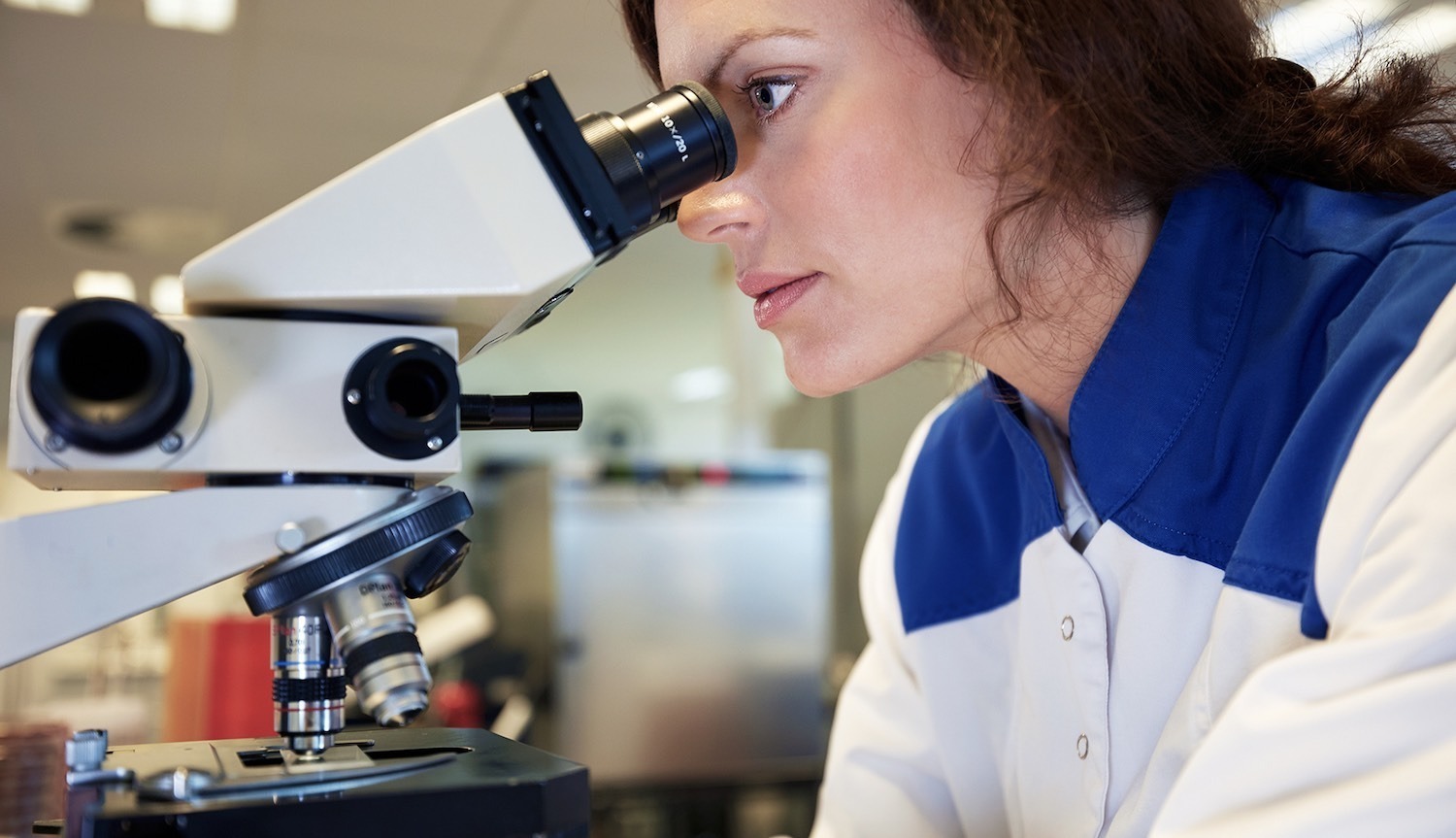 Saltro - Wolfpack / Software & data oplossingen