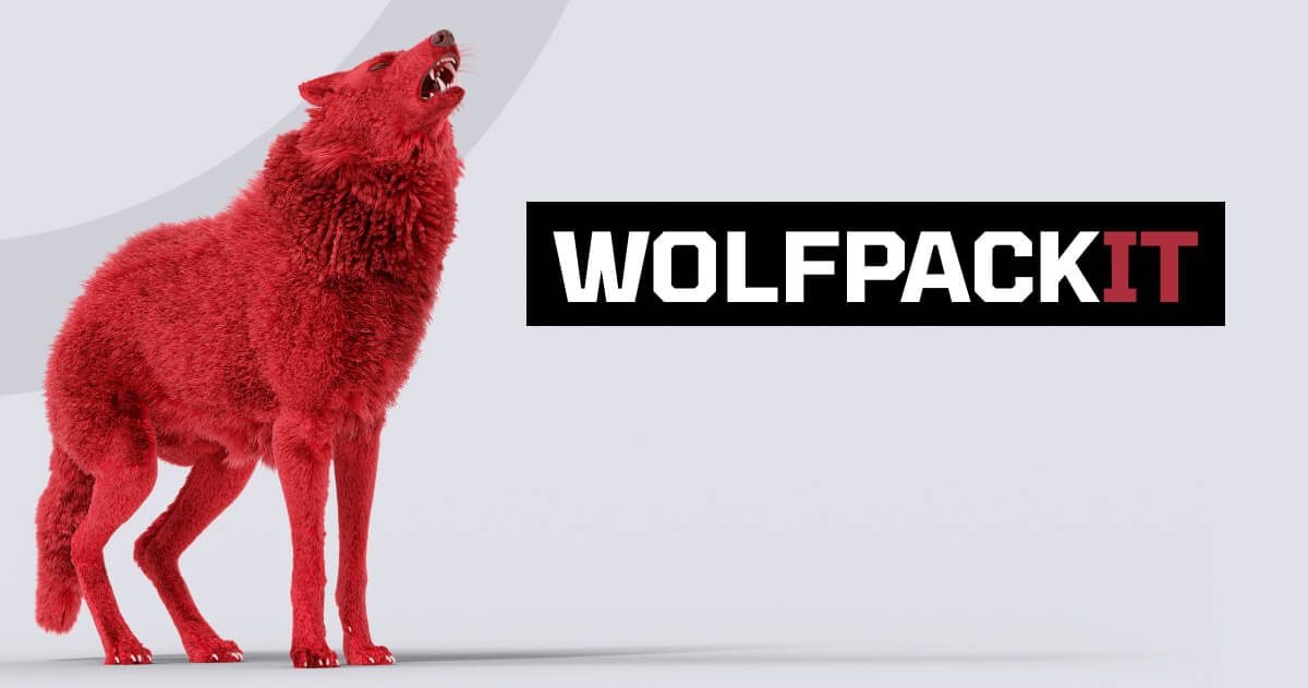 Wolfpack / Software & platform development